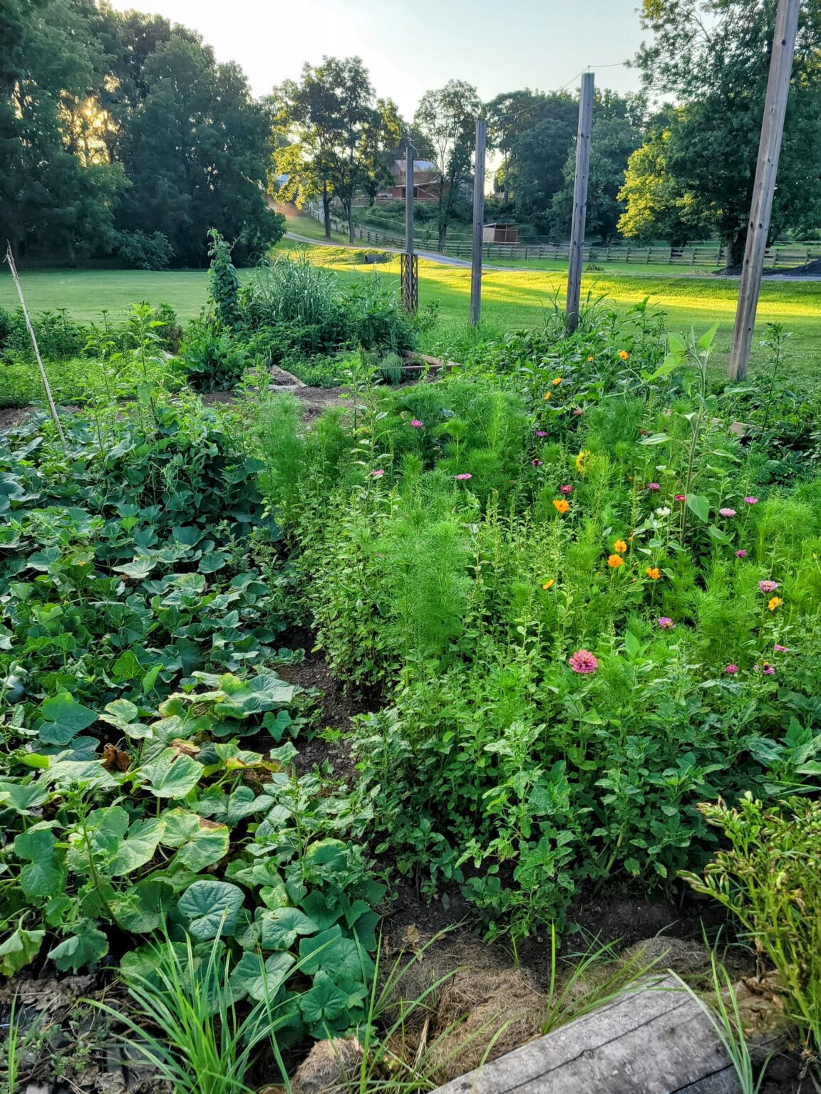 Our Products ~ HealthPrimitive