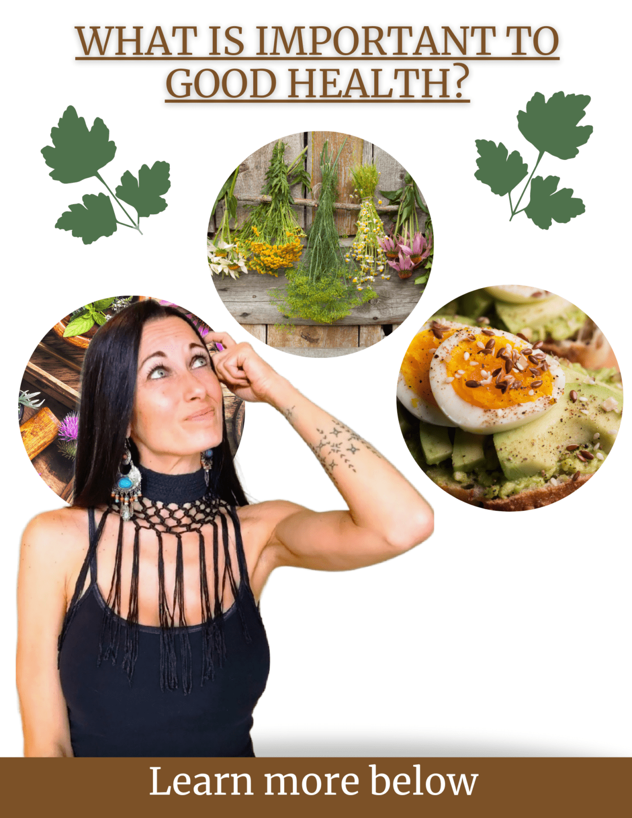 Welcome To HealthPrimitive ~ HealthPrimitive