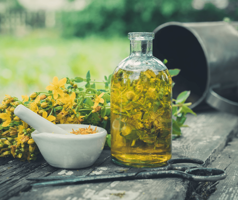 How to make Herbal Salves ~ HealthPrimitive