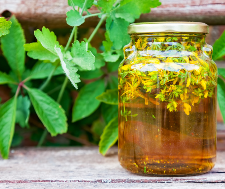 How to make a Tincture ~ HealthPrimitive