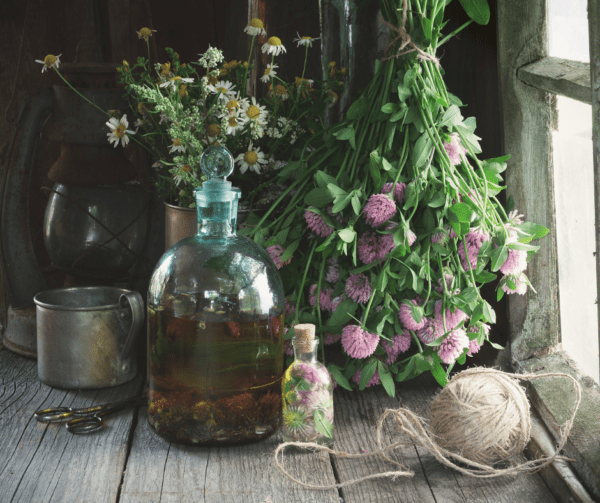 How to make a Tincture ~ HealthPrimitive