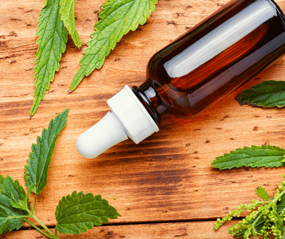 How to make a Tincture ~ HealthPrimitive