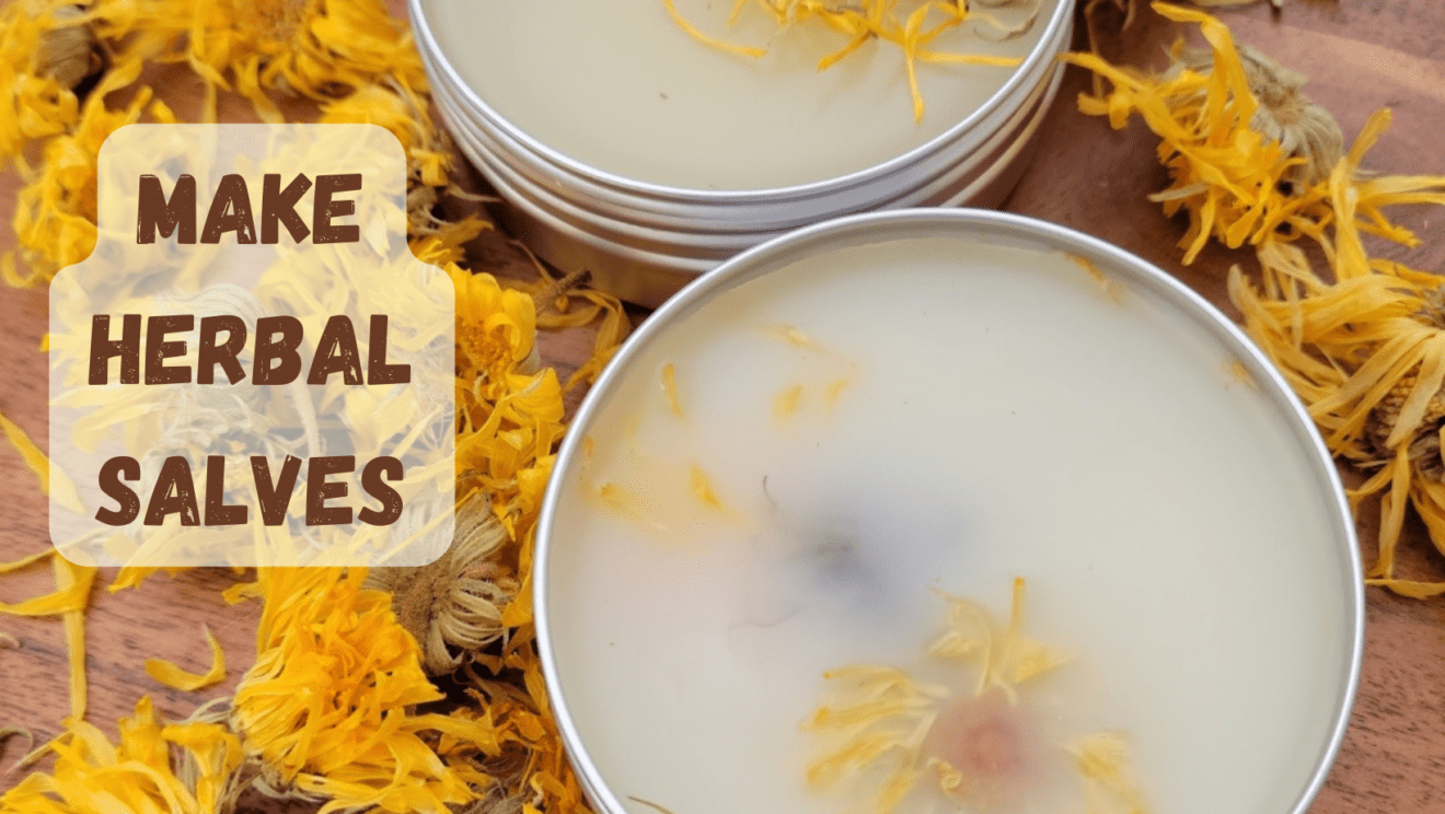How to make Herbal Salves ~ HealthPrimitive