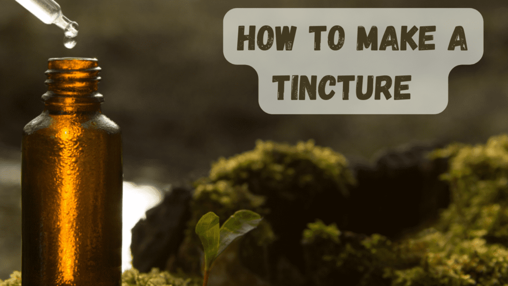 How to make a Tincture ~ HealthPrimitive