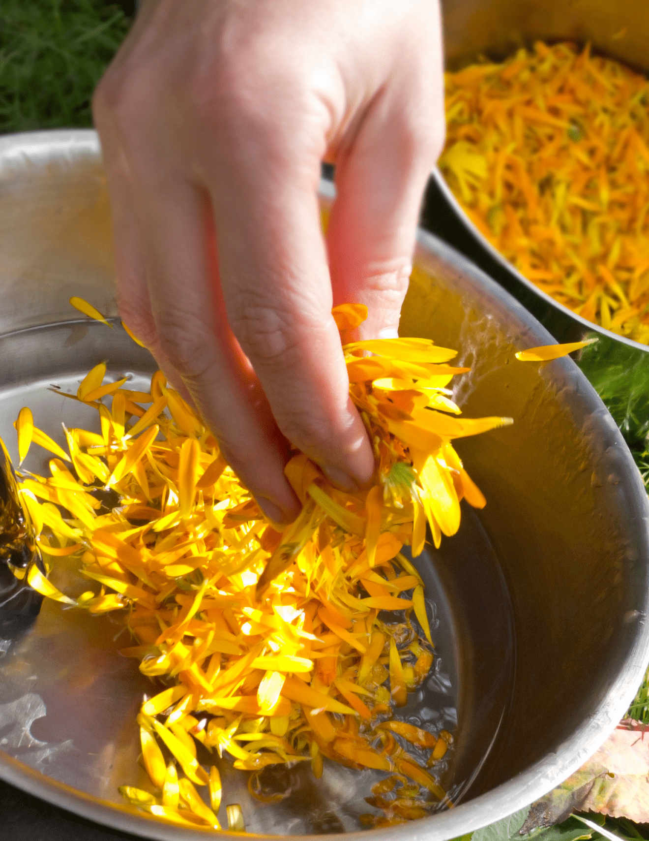 Homemade Vicks Vapor Rub ~ HealthPrimitive