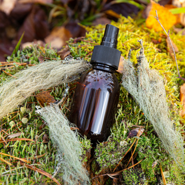 HOW TO MAKE AN USNEA DUAL EXTRACTION ~ HealthPrimitive