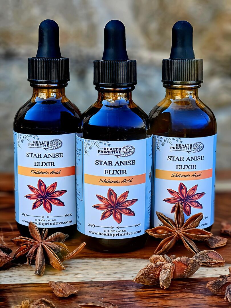 Star Anise, The Star Of Health ~ HealthPrimitive