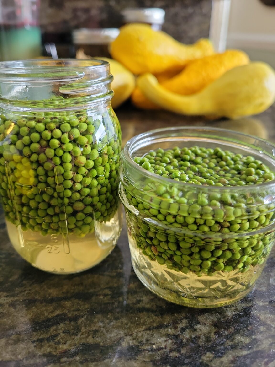 ELDERBERRY CAPERS ~ HealthPrimitive