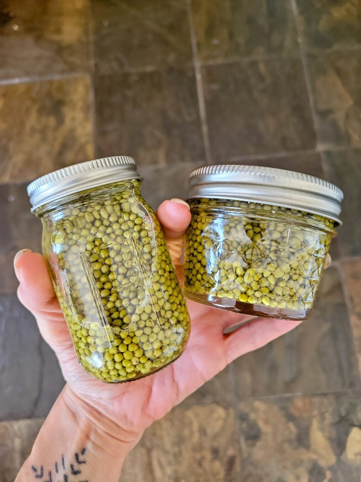 ELDERBERRY CAPERS ~ HealthPrimitive
