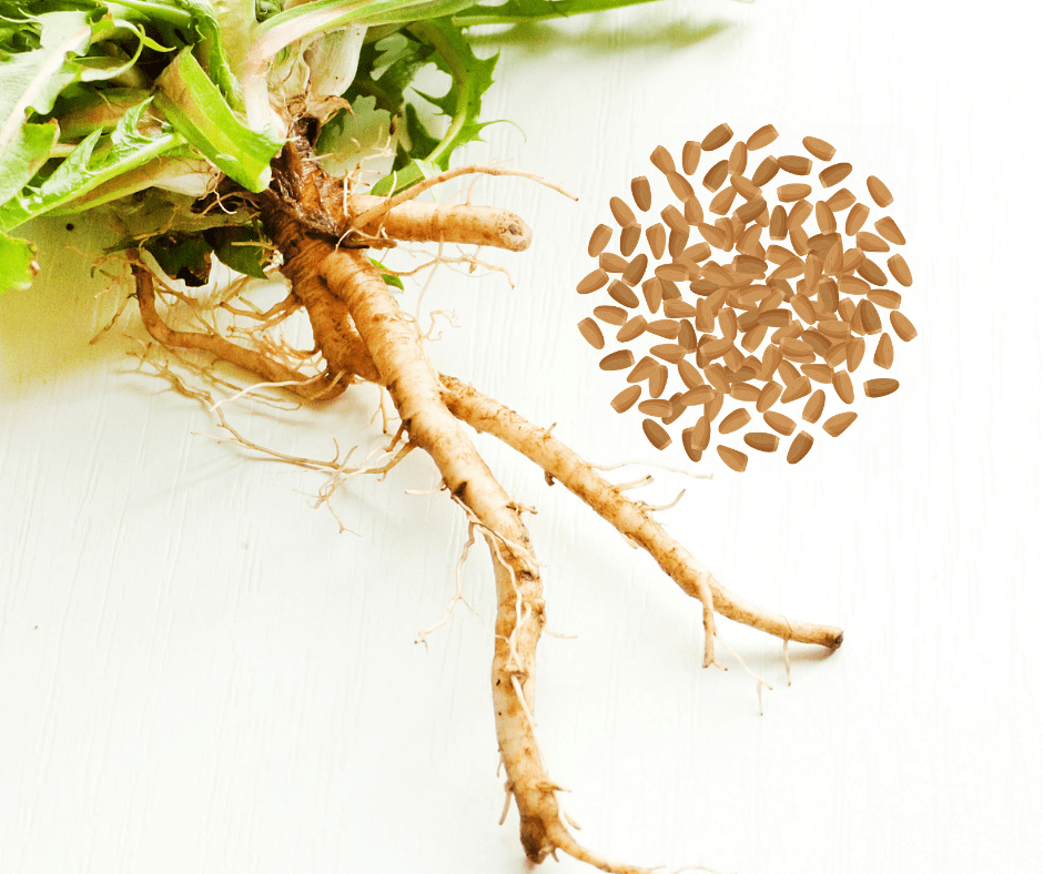 About Kayce ~ HealthPrimitive