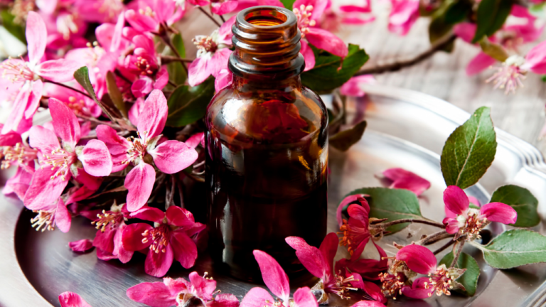 Welcome To HealthPrimitive ~ HealthPrimitive