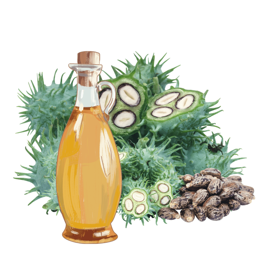 Cold Pressed Extra Virgin Castor Oil ~ HealthPrimitive