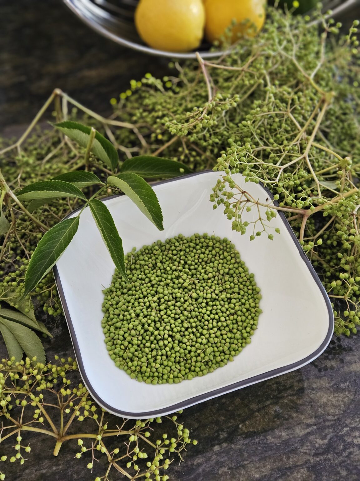 ELDERBERRY CAPERS ~ HealthPrimitive