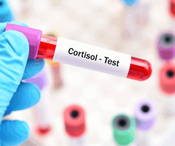 MORINGA AND LOWERING CORTISOL ~ HealthPrimitive