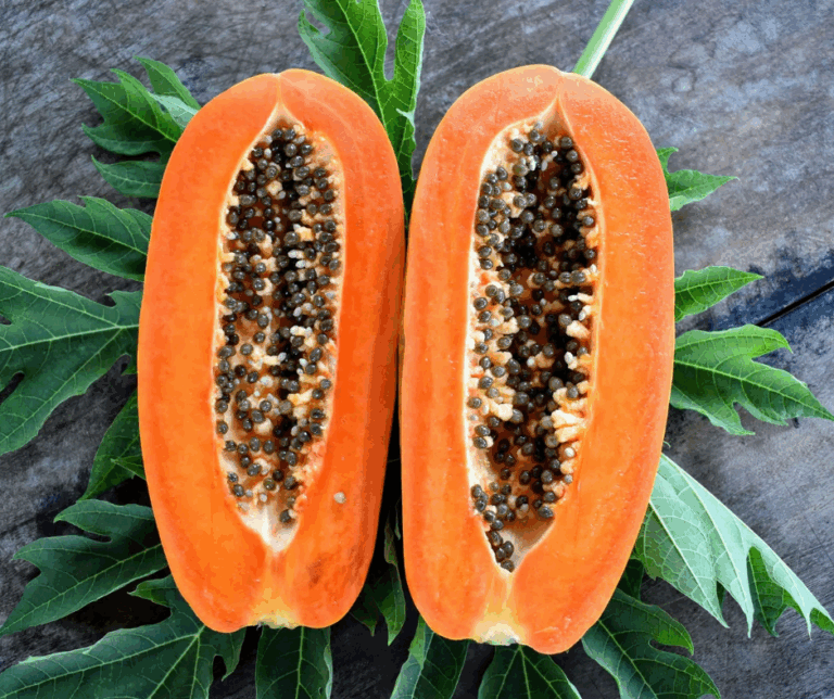 PARASITE CLEANSE PROTOCOL ~ HealthPrimitive