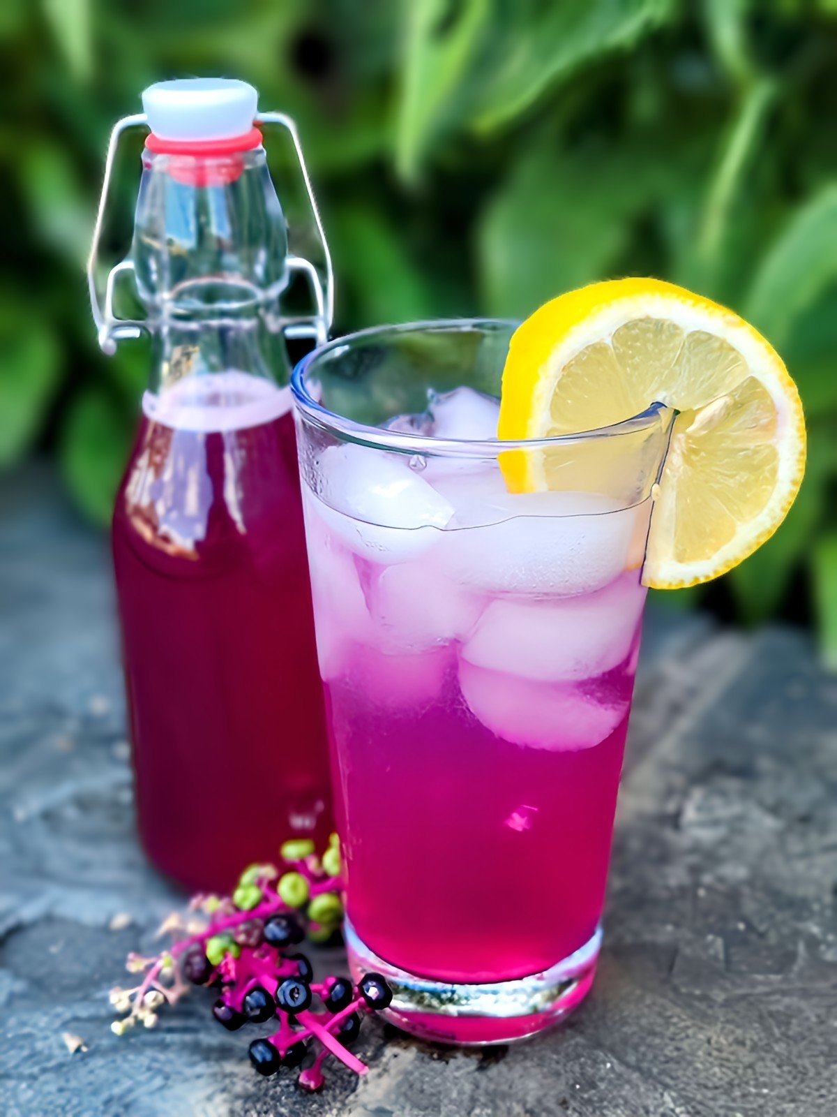 POKEWEED AS A FOOD & MEDICINE ~ HealthPrimitive