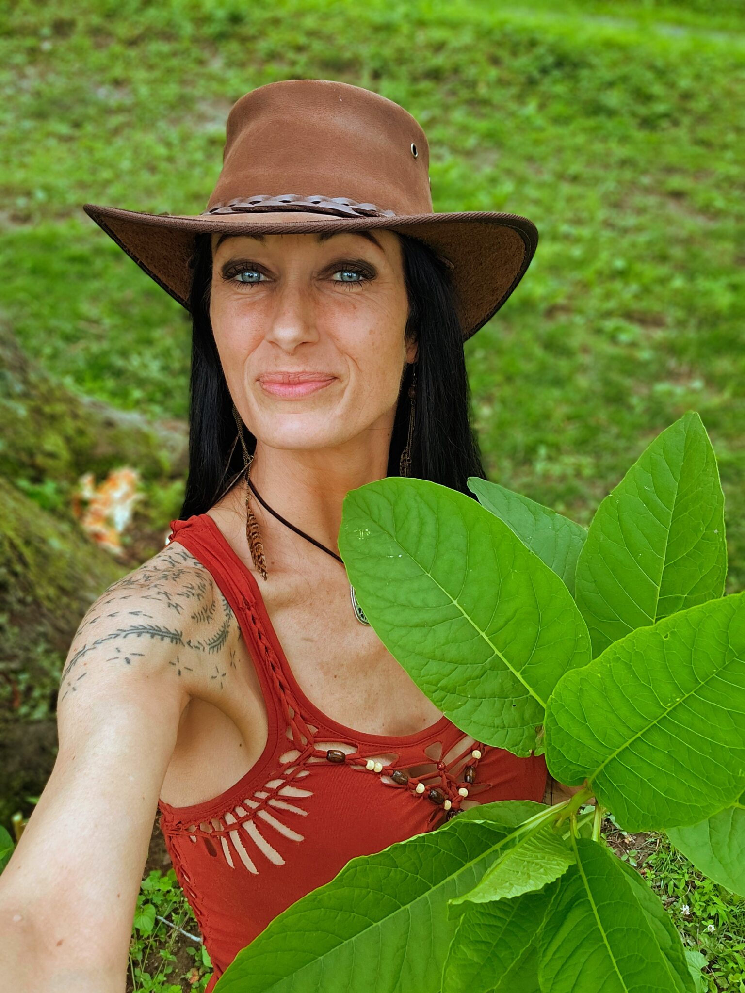 POKEWEED AS A FOOD & MEDICINE ~ HealthPrimitive