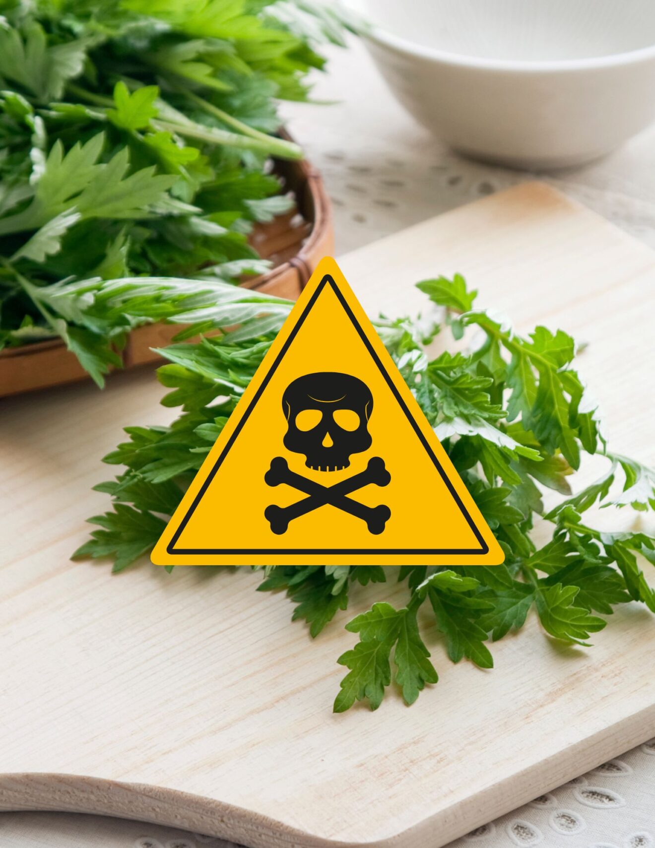 THE TRUTH ABOUT WORMWOOD ~ HealthPrimitive