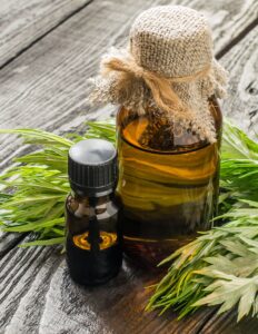 THE TRUTH ABOUT WORMWOOD ~ HealthPrimitive